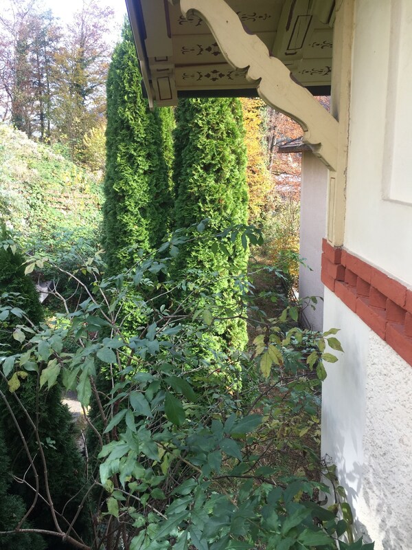 Vacation In The Royal Villa - Berchtesgaden