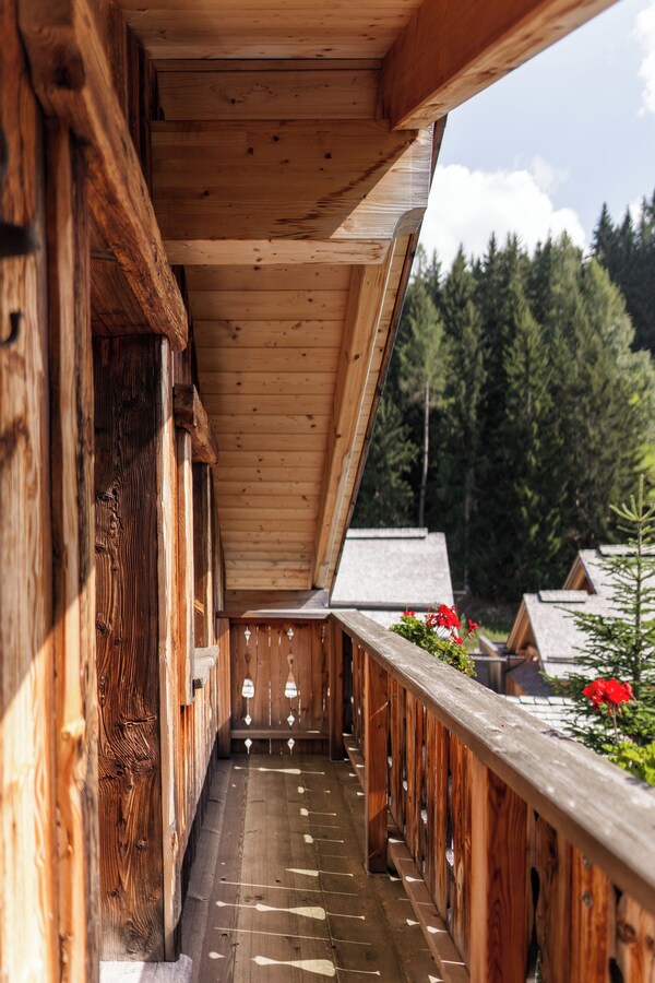Chalet Am Oberhausberg - Nähe Mittelstation Schi- Und Wandergebiet - Ruhige Lage - Schladming