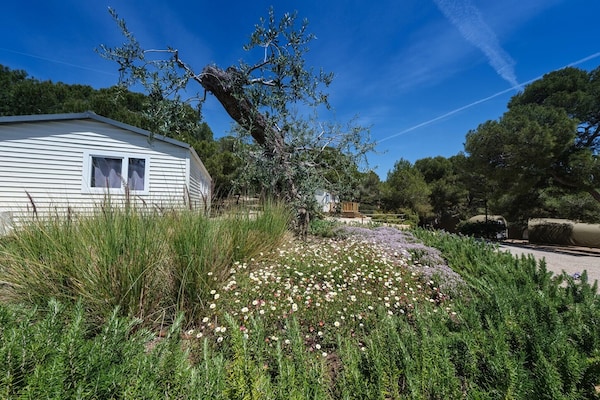 Mobil-home à Taragona Avec Terrasse - Costa Daurada