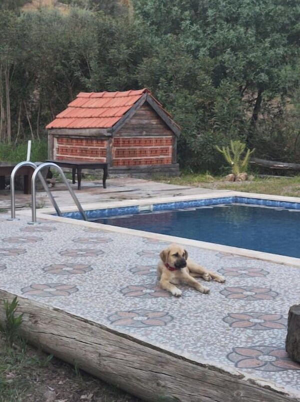 Togo Iztuzu Stonehouse-5 - Denizli