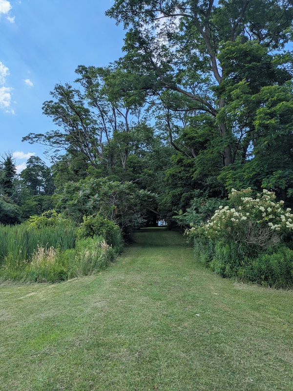 Superb 3-bedroom, 2 Bath House On Lake Erie. 2 Min Drive To Barcelona Harbor! - Chautauqua, NY