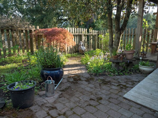 Spacious Lakefront Cottage, Salt Spring Island. Great Sunsets, Central Location - Salt Spring Island