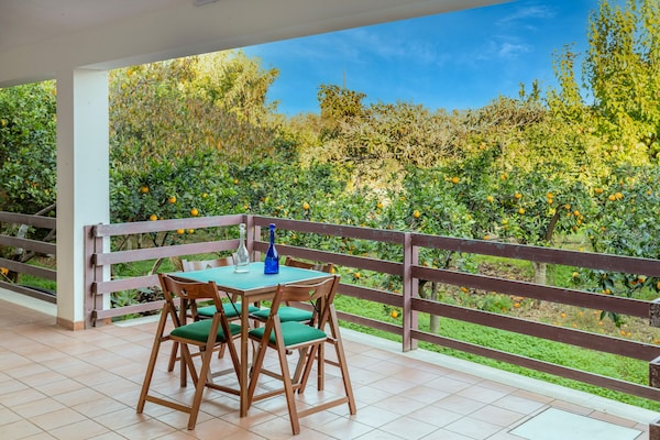 Villa 'Dany With Pool' Con Piscina Privada, Wi-fi Y Aire Acondicionado - Grottaglie