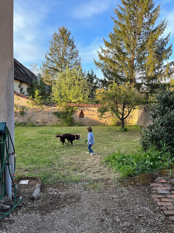 Chez Mamie Madeleine, Grand Gîte Familial En Bord De Forêt De Tronçais. - Allier