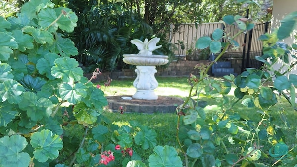 Bellavista Homestay - Your Home Away From Home - Newcastle
