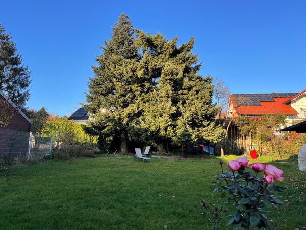Neu Eingerichtete Wohnung 3 Zkb 90 Qm Kaiserslautern - Kaiserslautern