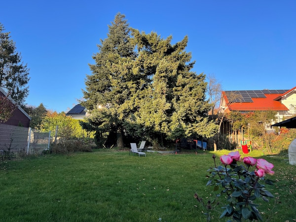 Neu Eingerichtete Wohnung 3 Zkb 90 Qm Kaiserslautern - Kaiserslautern
