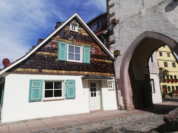 Black Forest Holiday Home Neubulach - Calw