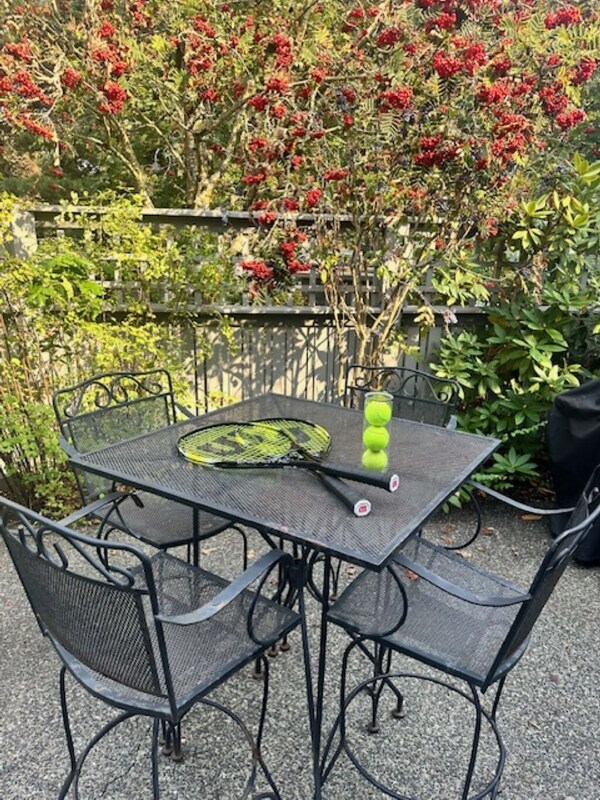 Semiahmoo Beach Retreat Amazing Views! - White Rock