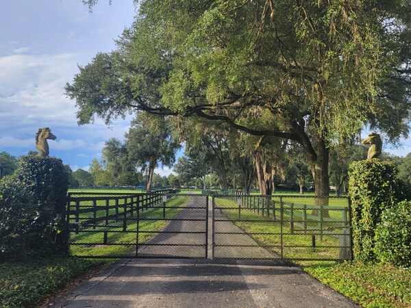 Acorn Apartment @ Little Tree Farm - Ocala, FL