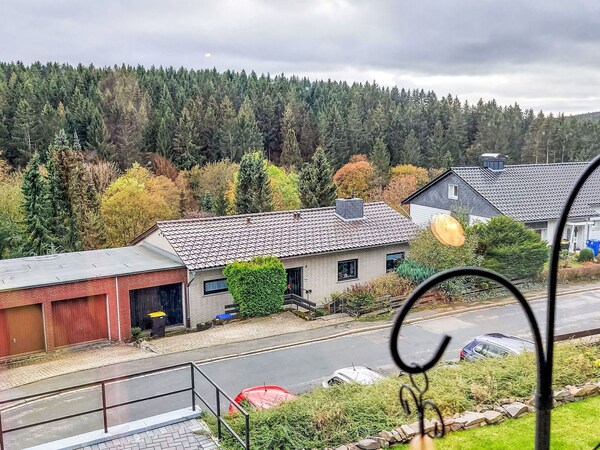 Schöne Wohnung Für 2 Personen Mit  W-lan, Tv, Haustiere Erlaubt Und Parkplatz - Clausthal-Zellerfeld