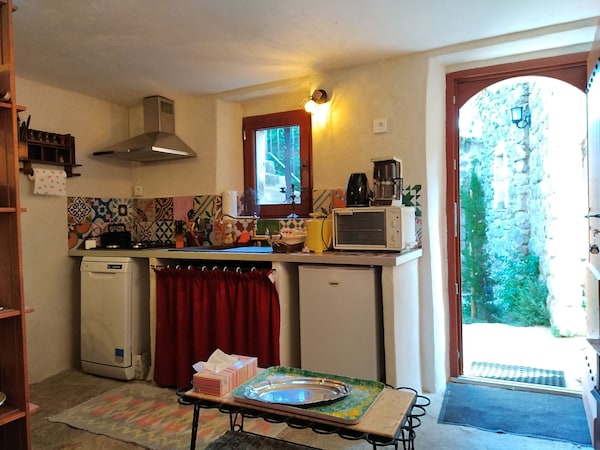 Gîte Des Châtaigniers  Mas En Cévennes. Idéal Couple Ou Famille Nature Et Rando. - Saint-Jean-du-Gard