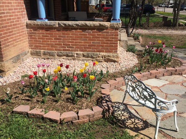 Updated Charming Victorian In Old Town Near Csu! - Wellington, CO