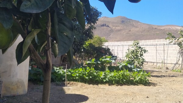 Edara Home - Complete Housing - Gran Canaria
