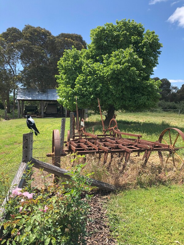Davidson's Cottage Penola: Open Fire, Ac, Wifi, Smart Tv, Garden Pet Friendly - Penola