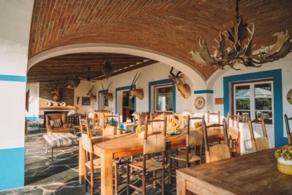 Africa Room - Moura