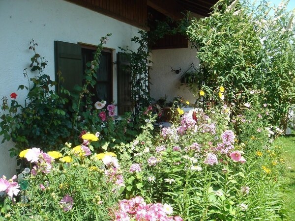 Ferienwohnung Burgenblick - Appartement Burgenblick Mit Balkon - Hopferau