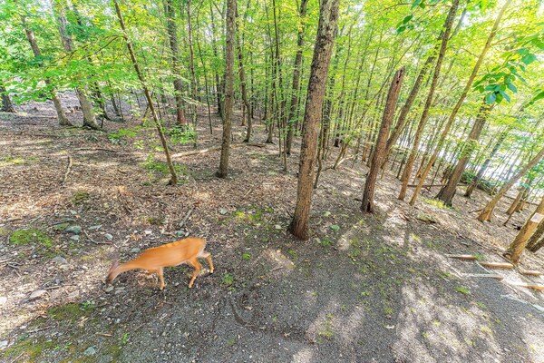 Luxury Lakefront Retreat On 2 Acreshot Tub, Real Wood Fireplace, Fishing & More - Stroudsburg