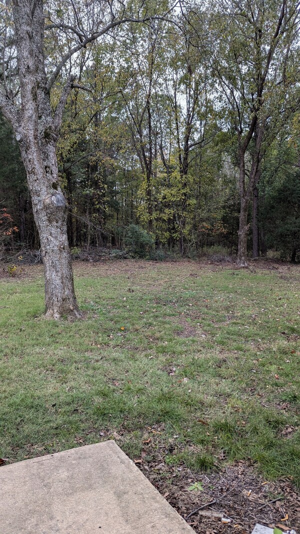 Charming 2-bedroom House With Ac, Wifi In Adorable Jonesboro - Jonesboro, AR