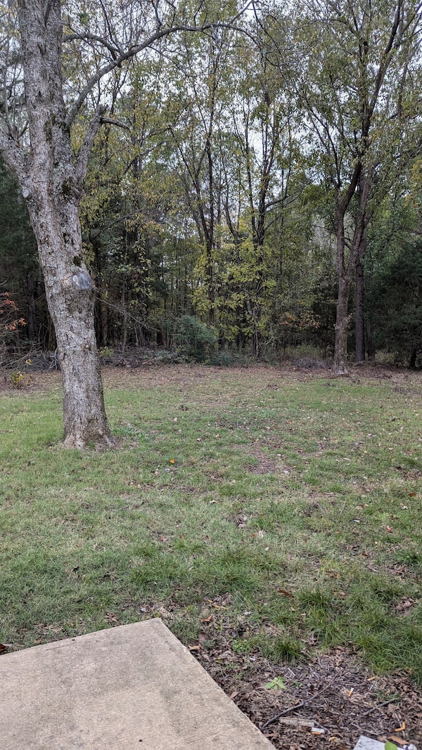 Charming 2-bedroom House With Ac, Wifi In Adorable Jonesboro - Jonesboro, AR