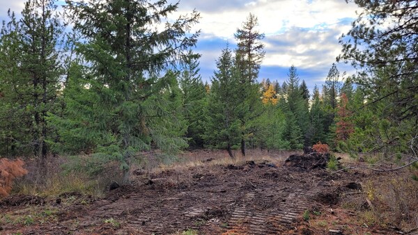 Large Rv Site With Full Hookups, Surrounded By Trees And Nature. - Idaho