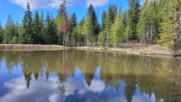 Remote Rv Site With Full Hookups On 16 Wooded Acres. Site B. - 愛達荷州