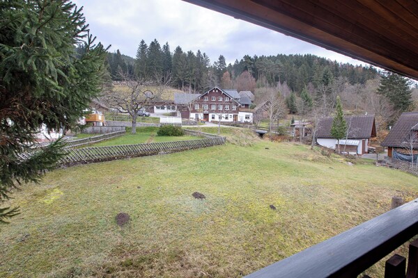 Apartment 'Appartement B, 66qm' With Shared Garden, Balcony And Wi-fi - Feldberg