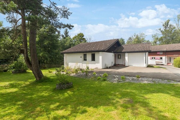 Ferienhaus Mit Parkplatz Haustierfreundlich Im Skigebiet - Wildhaus