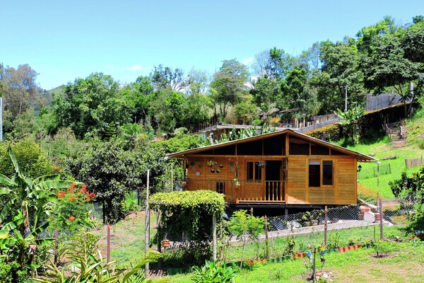 Caracolí Cabin. Quiet, On The Way To The Lagoon, One Minute From Town! - Meta