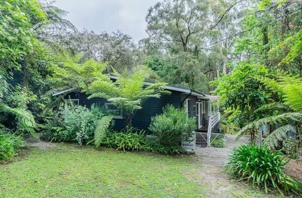 Blissful Bushland Retreat - Currawong Rd