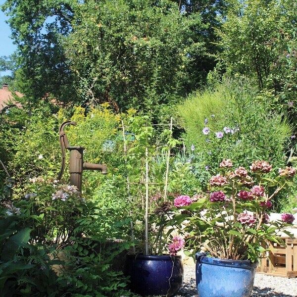 Traumwohnung Mit Eigenem Privaten Garten\nkinderfreundlich ~ Haustierfreundlich - Badenweiler