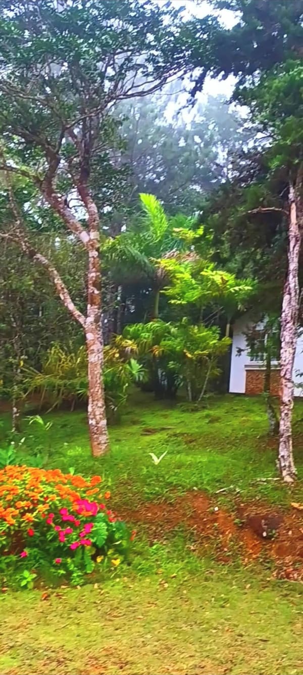 Moon House River Dreams Cerro Azul - Tocumen Airport (PTY)