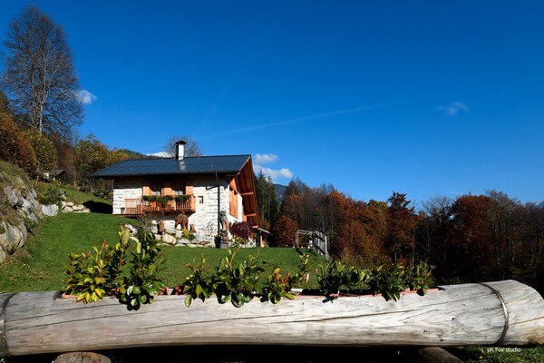 Chalet 'Maciana' Avec Vue Sur Les Montagnes, Jardin Privé Et Wi-fi - Pinzolo
