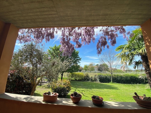 Ample Apartment Near The Racing Circuit - Imola