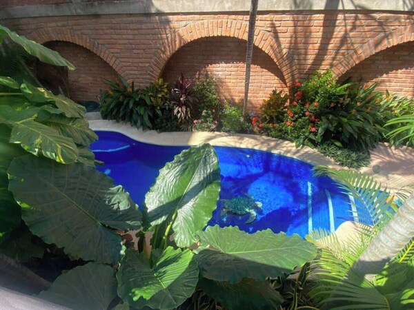 Estrella - Casa Mojo's Airy 2br, Kitchen, Pool - Sayulita