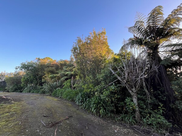 Escape To The Country - New Zealand