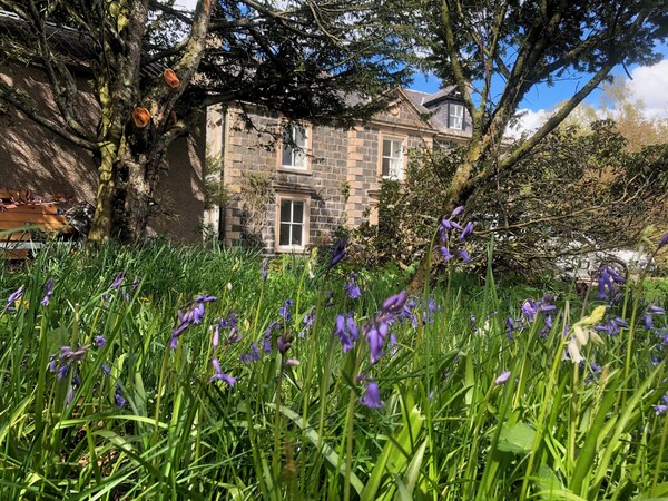 Kirkton Cottage  A Peaceful Scottish Retreat Near Huntly & Keith - Moray