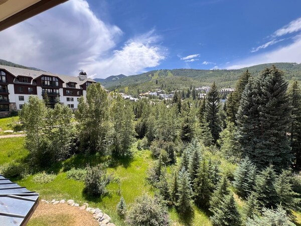 The Charter @ Beaver Creek Luxury Retreat 2b/2bath - Pool, Hot Tub & Ski Access - Beaver Creek, CO