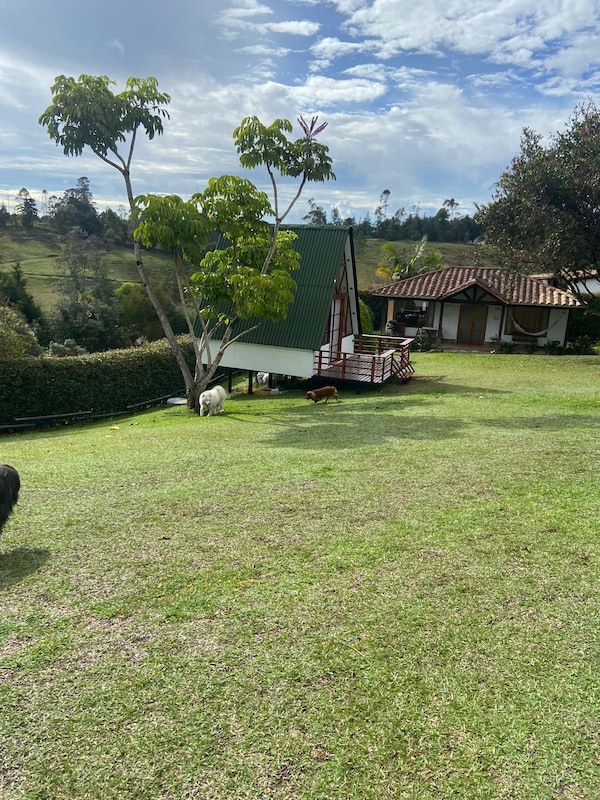 Cabaña Beta! Cabaña Intima Con Todas Las Comodidades Y En Un Ambiente Natural - Rionegro