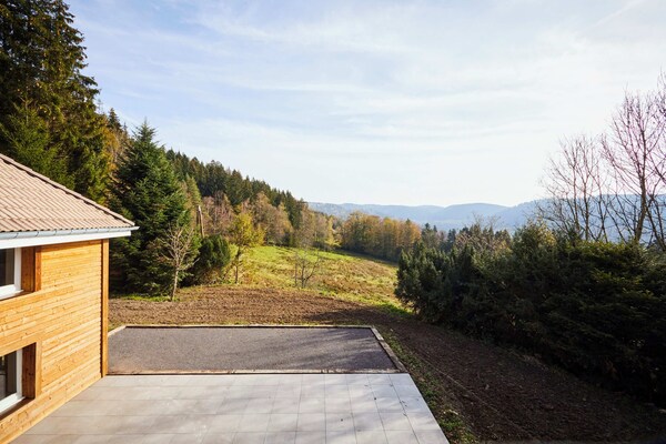Chalet La Forgerie 32 Pers, Piscine, Sauna, Jacuzzi, Cinéma - Lorraine