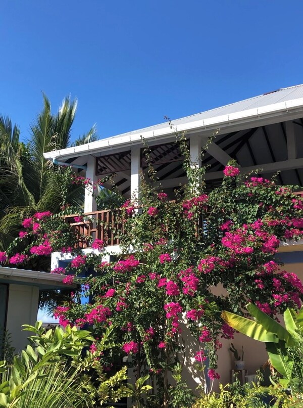 5 Bedroom Hotel On Kendhoo Island, With Ac, Wi-fi, And Peaceful Surroundings. - Maldives