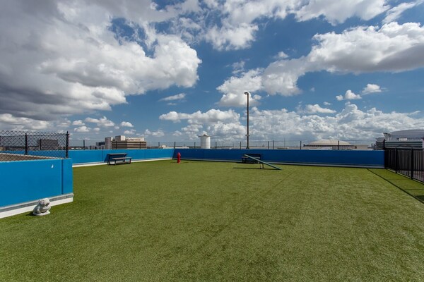 Lavish 1br Apartment With Ac, Fitness Room, Wifi, Pet-friendly - Houston