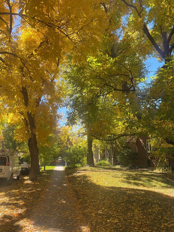 City Park - Newly Renovated, Cozy 2-bedroom, Basement Apartment With Ac, Wifi - Westminster, CO
