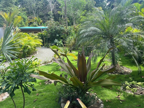 Wabi Sabi Sora Residences - Punta Uva