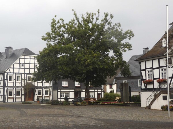 Eversberg 3 - Ferienwohnung/ Montage Meschede-eversberg - Warstein