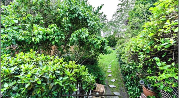 Modern 3 Bed Appartment In Leafy  Hampstead - Edgware