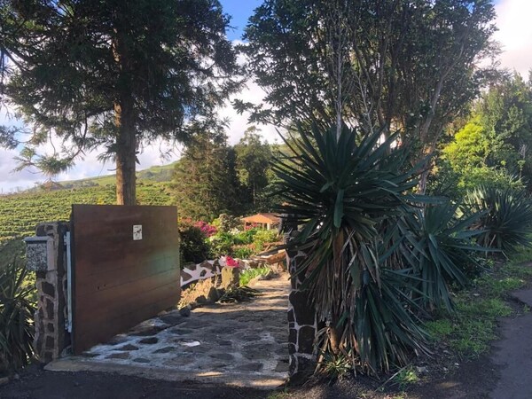 Flores Garden Retreat - Fazenda