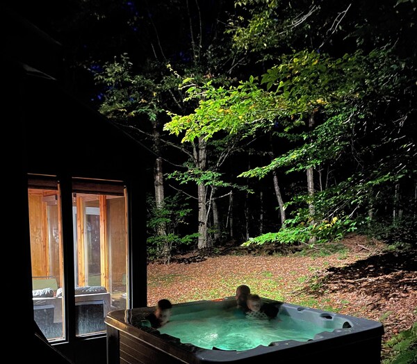 Charming Chalet With Hot Tub, Ski Shuttle, Ski Home Trail - Mount Snow, VT