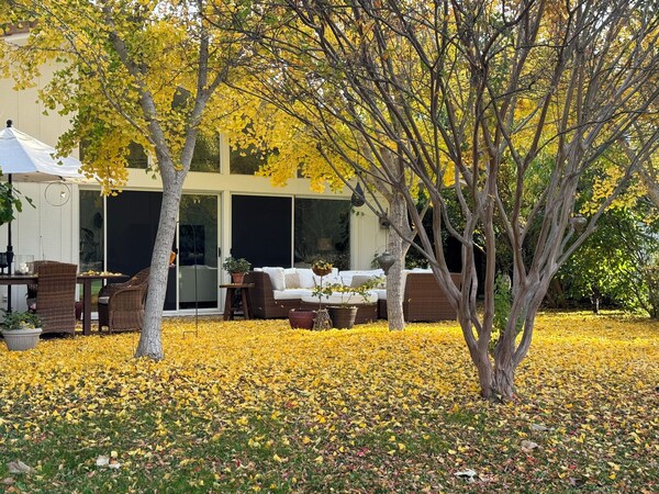 Hidden Gem On The 15th Hole Pvcc 3-bedroom House In Pauma Valley With Wifi - Valley Center, CA
