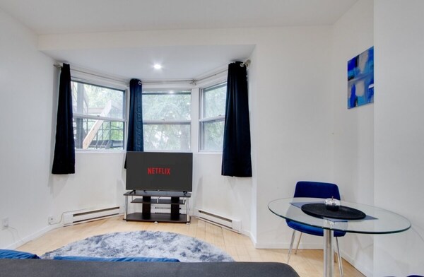 Beautiful Cozy Appartment In A Quiet Heritage Building On The Mount Royal - Quebec